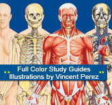 FileRx Home - Buy medical office supplies at the lowest prices guaranteed